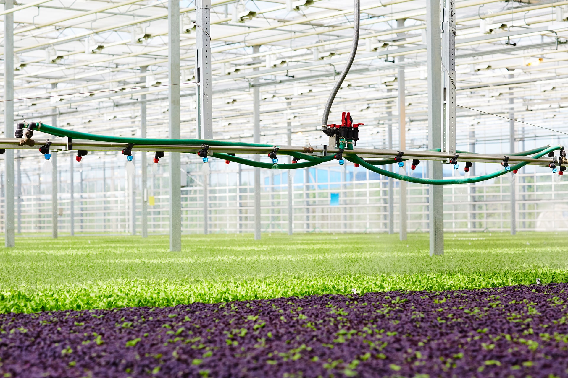 Tipos De Sistemas De Riego De Invernadero Sistemas De Riego E