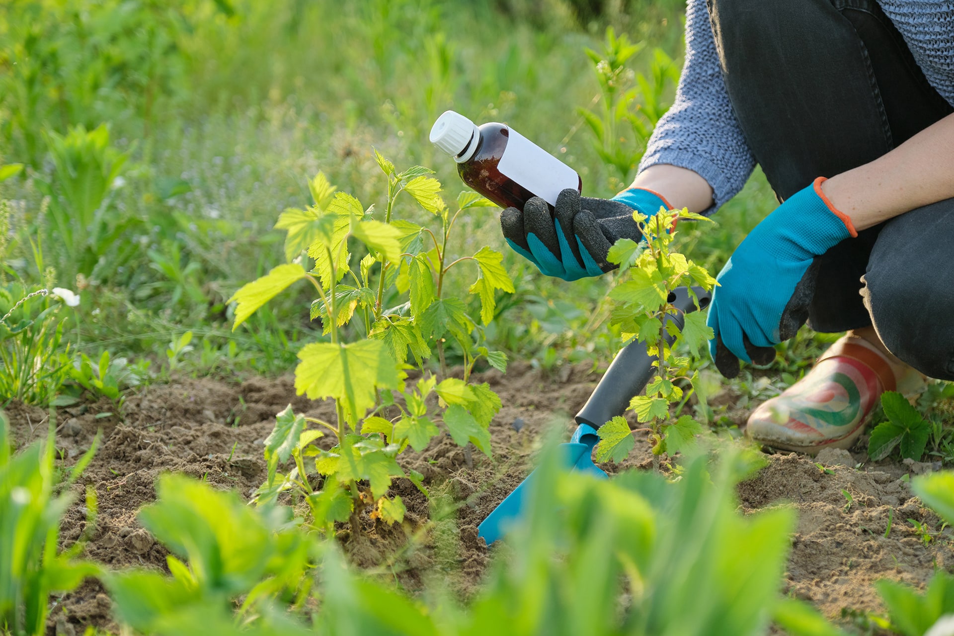 Fungicidas ecológicos - Sistemas Hortícolas Almería