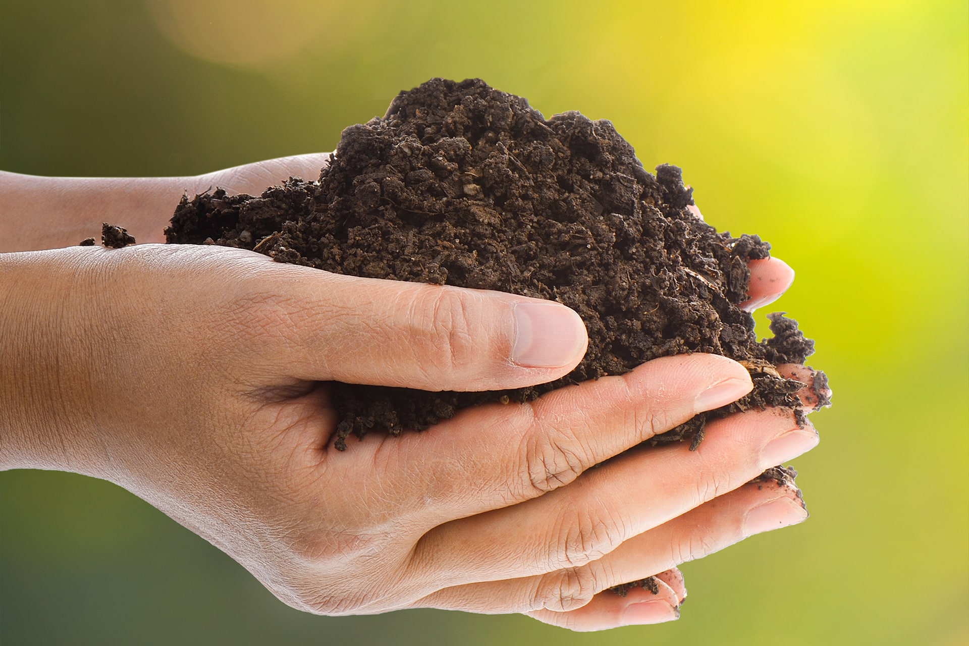 Sustrato universal - Sistemas Hortícolas Almería