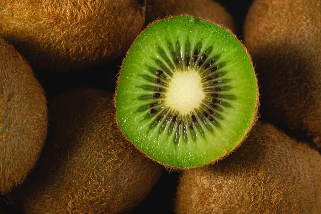 ¿Cómo cultivar kiwis? - Sistemas Hortícolas Almería